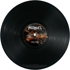 World Shaker Vinyl - Black – ASOMVEL